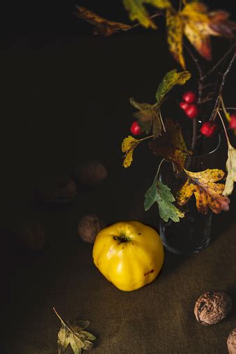 신선한 마르 멜로와 노란 잎이있는 가을 변덕스러운 구성 정물 장면 가을에 대한 스톡 사진 및 기타 이미지 가을 고정됨 과일 Istock