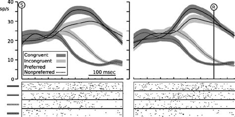 Neuron Showing Delayed Spatial Response Latency Due To Stimulus