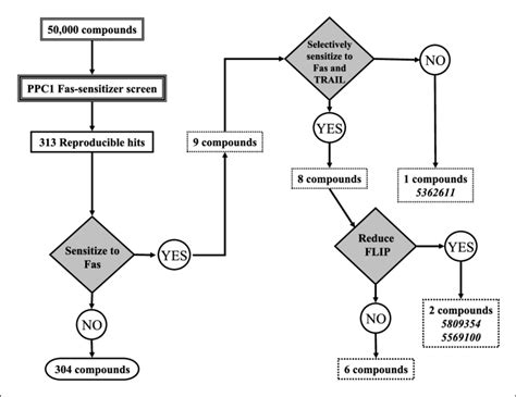 Identification Of Fas Sensitizers Using A Cell Based High Throughput