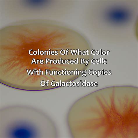 What Color Represents Food