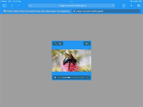 Flutter Web Ios Canvaskit Issue With Video Player Not Displaying
