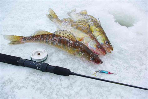 The Best Walleye Ice Fishing In Minnesota 10 Prime Spots