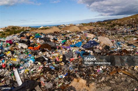 숲 속의 쓰레기 사람들은 불법적으로 쓰레기를 숲으로 던져 버렸습니다 인간과 자연의 개념입니다 자연에서 불법 쓰레기 덤프 숲에서 하이킹 트레일 근처 더러운 환경 오염 쓰레기