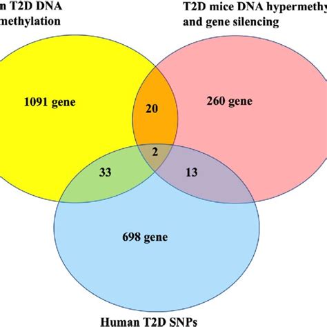 The Original Incorrect Version Of Figure 1 Download Scientific Diagram