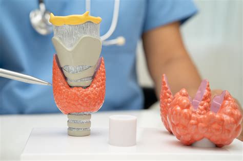 Key Lab Tests Understanding Tsh Free T3 Free T4 Reverse T3 Anti