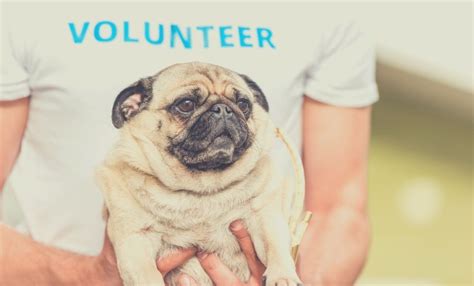 19 Life Purpose Examples To Find Your True Purpose Happier Human