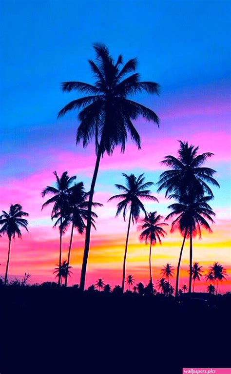 Palm Tree Iphone Wallpaper Wallpaperspics
