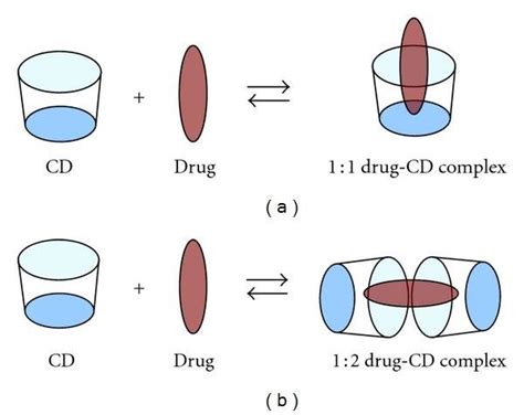 Cyclodextrin Inclusion Complex [43] Download Scientific Diagram