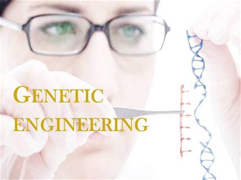 Genetic Engineering Eligibility Criteria Genetic Engineering Career