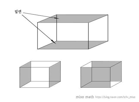 [개념] 직육면체 정육면체 네이버 블로그