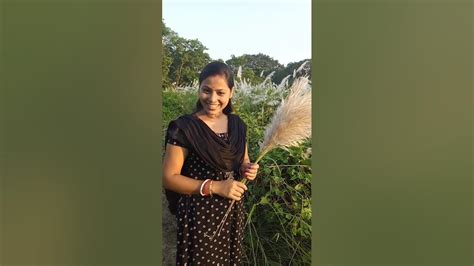 কাশফুল বাগান Shortfeed Youtubeshorts Short Youtube