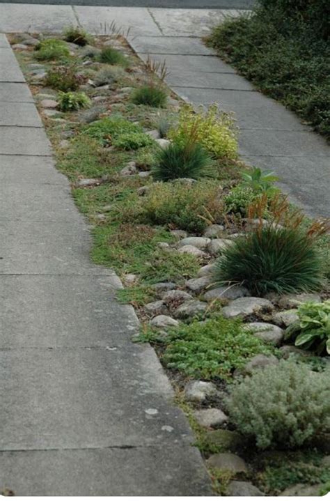 Planted Driveway Strip Garden Living Driveway