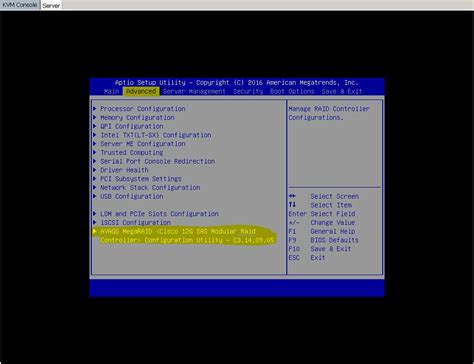 Expanding Virtual Drive On 12gb Sas Controller By Adding Additional Physical Drives Cisco