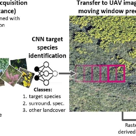 Schematic Workflow Of The Study Download Scientific Diagram