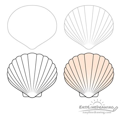 How To Draw A Shell