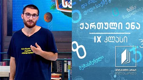 ქართული Ix კლასი დანიელ პენაკის სკოლის სევდა ტელესკოლა Youtube