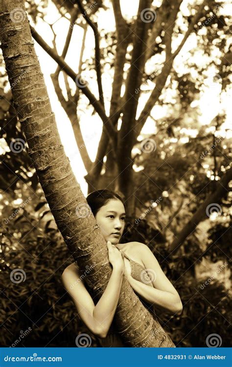 Asian Girl Hugging Tree Stock Image Image Of Environment 4832931