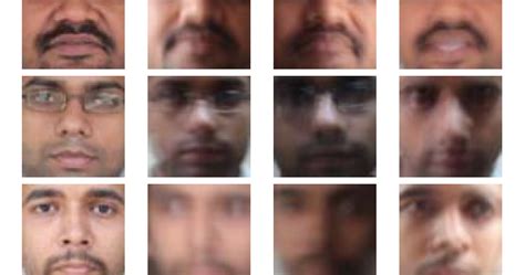 Final Year Image Processing Projects Face Recognition Across Non Uniform Motion Blur