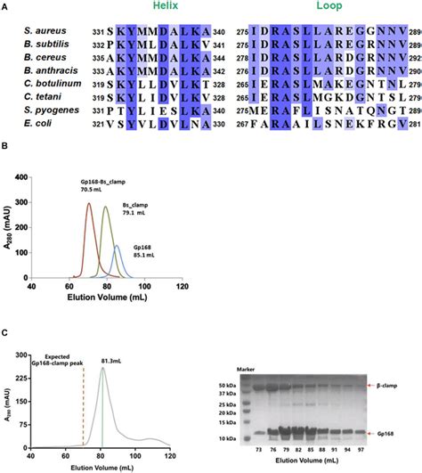 The Potential Cross Species Inhibitory Effect Of Gp168 A