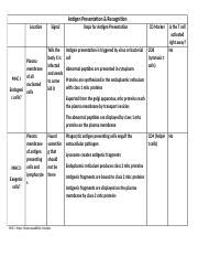 Understanding Antigen Presentation Recognition Key Steps And Course Hero