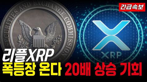 리플 전망 리플 폭등장 온다 20배 상승 기회 긴급속보 리플 Xrp Sec 리플소송 갈링하우스크립토리포트 Rlusd 리플스테이블코인 Youtube