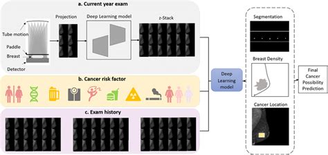 Comprehensive Cad System A An Embedding Deep Learning Model In The