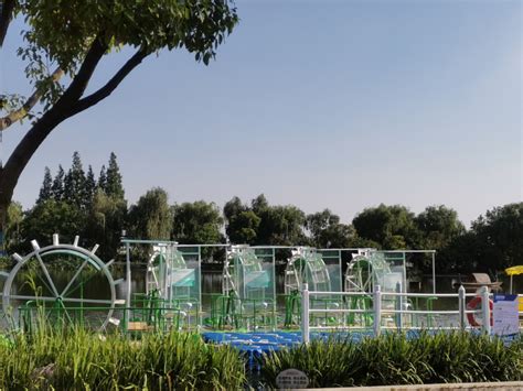 擦亮嘉善生态宜居底色 绘就美丽乡村新画卷