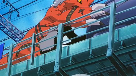 디지몬 테이머즈 6기：폭주 디지몬 특급 Tving