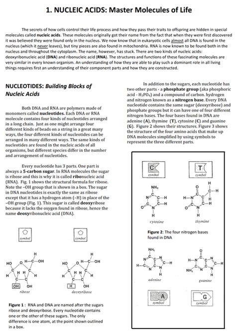 Unit 7 Protein Synthesis Science Math Help Center