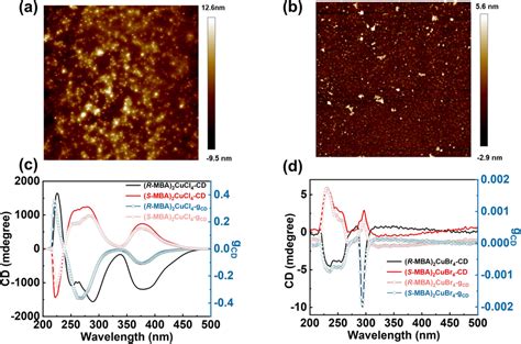 Thin Film Characterization Ab Atomic Force Microscopy Afm