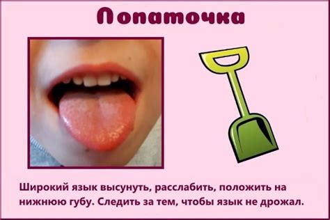 Артикуляционная гимнастика с детками