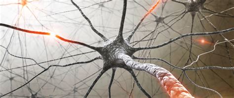 Treating Multiple Sclerosis With Reflexology Fhr Reflexology Melbourne