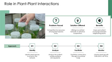 Top 10 Structure And Functions Of Ecosystem Powerpoint Presentation