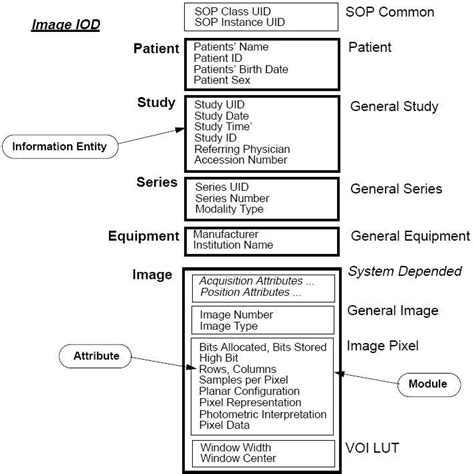 4 Dicom Model Evans 2008 Download Scientific Diagram