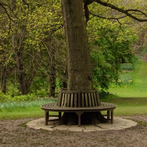 Bench Around A Tree Trunk Landscaping Around Trees Landscaping Around House Bench Around Trees