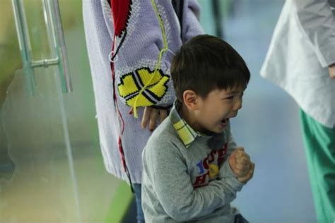 霍思燕帶嗯哼醫院做「產檢」 嗯哼握拳大哭 每日頭條