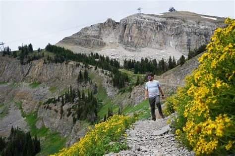 Top 5 Hikes In Jackson Hole Jackson Hole Mountain Resort