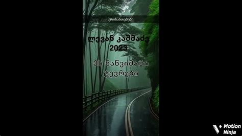 ქრიზანთემები Rmx ლევან კაშმაძე 2023 Youtube