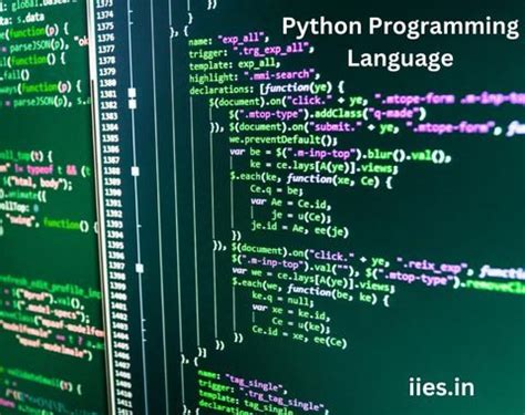 Python Vs Other Languages What Makes Python Special