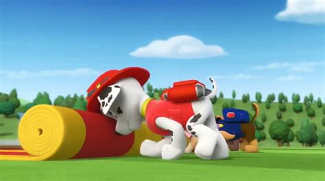 Paw Patrol S1 E7 Marshall By Giuseppedirosso On Deviantart