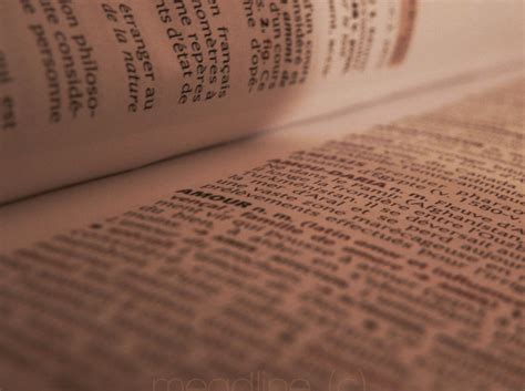 11 By Meadline On Deviantart