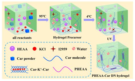 Fully Physically Crosslinked Conductive Hydrogel With
