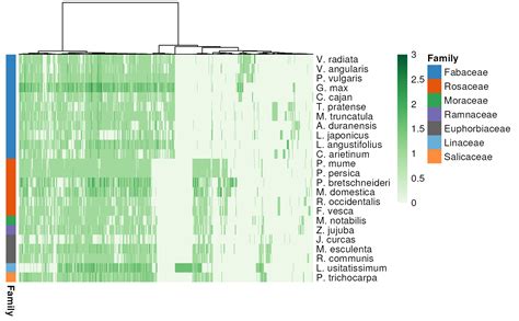 Plot A Heatmap Of Phylogenomic Profiles Plot Profiles Syntenet