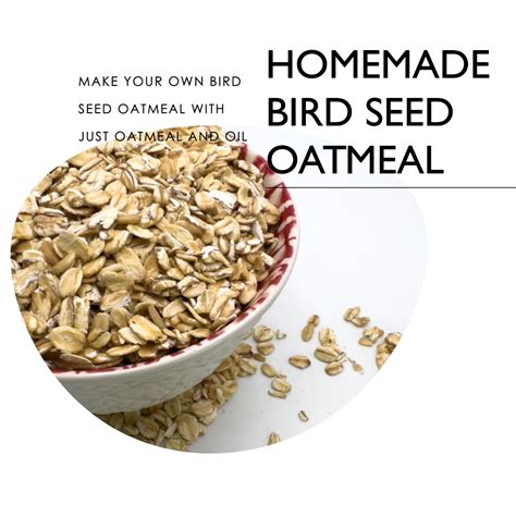 Vogelfutter Selber Machen Haferflocken Mit öl Diy Vogelfutter