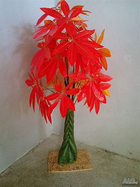 ДЕКОРАТИВНА изкуствена Пахира с червени листа Цветя декоративни растения Бургас Краси