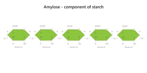 Starch Structure 3d