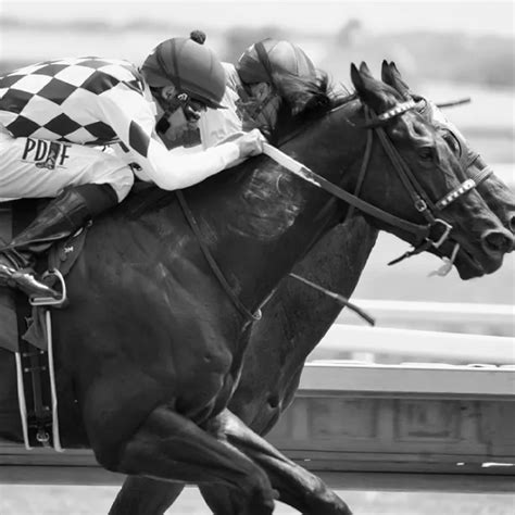 Paper Weights Explained The Meaning Of Paper Basis Weight Color Vision Printing