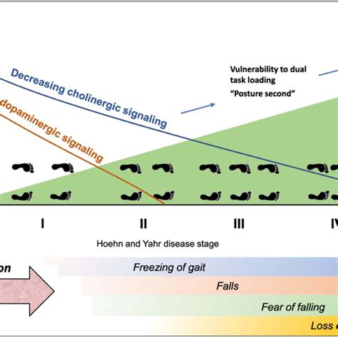 Schematic Of Gait Dysfunction Over Disease Course Download Scientific Diagram