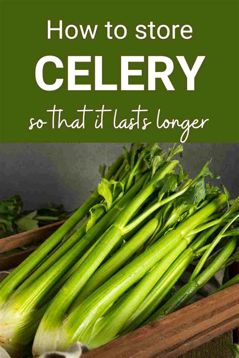 Celery 101 Nutrition Benefits How To Use Buy Store Celery A Complete Guide Fas Kitchen