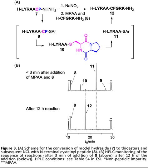 Figure 1 From Traceless Synthesis Of Protein Thioesters Using Enzyme Mediated Hydrazinolysis And
